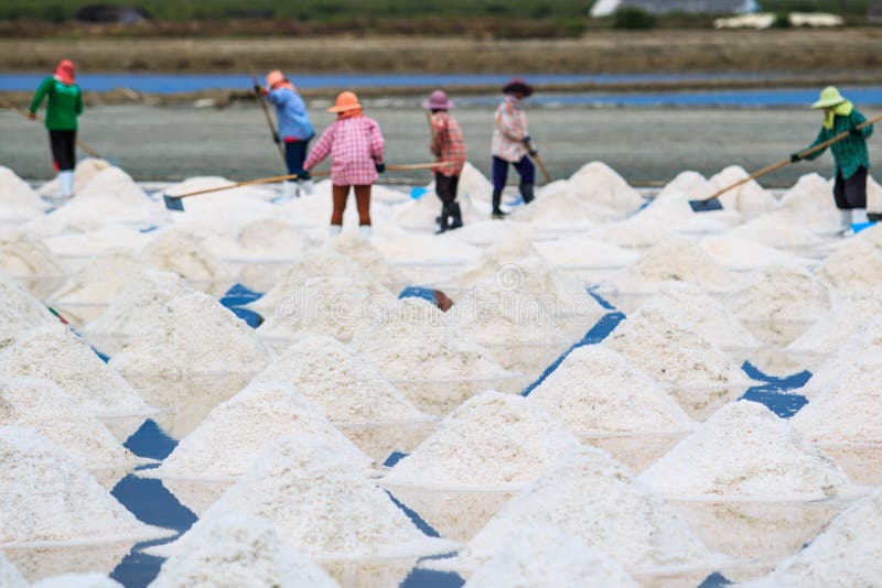 Worker at salt field stock image. Image of seaside, extraction - 57965003