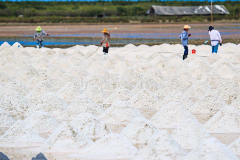 Worker at salt field stock photo. Image of mineral, chloride - 57965006