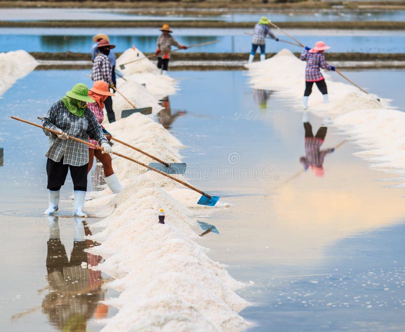 Worker at salt field stock image. Image of heap, mineral - 57999719