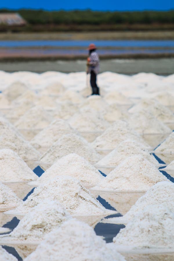 Worker at salt field stock photo. Image of deposition - 57999730