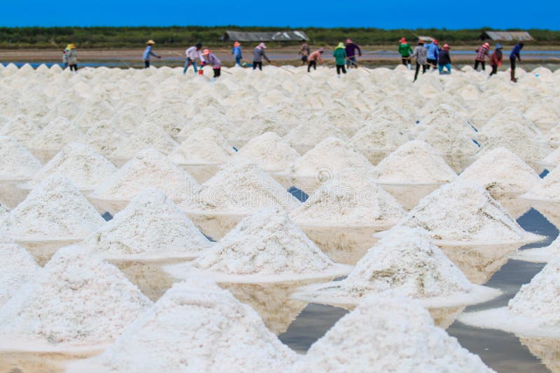 Worker at salt field stock image. Image of rectangle - 57999749