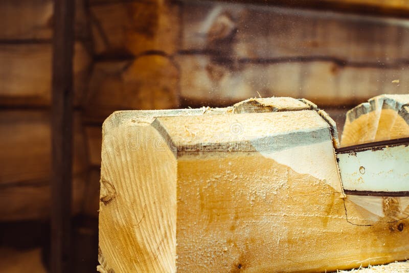 Worker Sawing a Chainsaw Tree Stock Photo - Image of person, adult ...