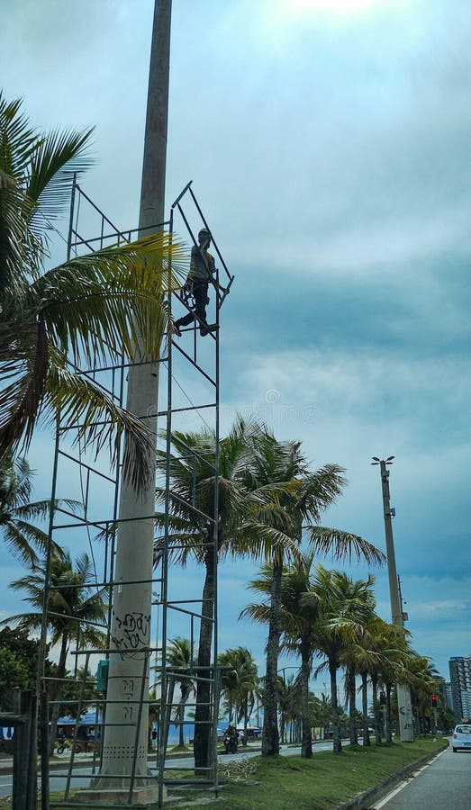 Worker on Scaffolding with Palm Trees in Background Stock Photo - Image ...
