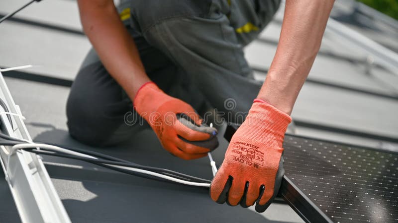 Worker Securing Cables by Special Tie while Installing Solar Panels ...