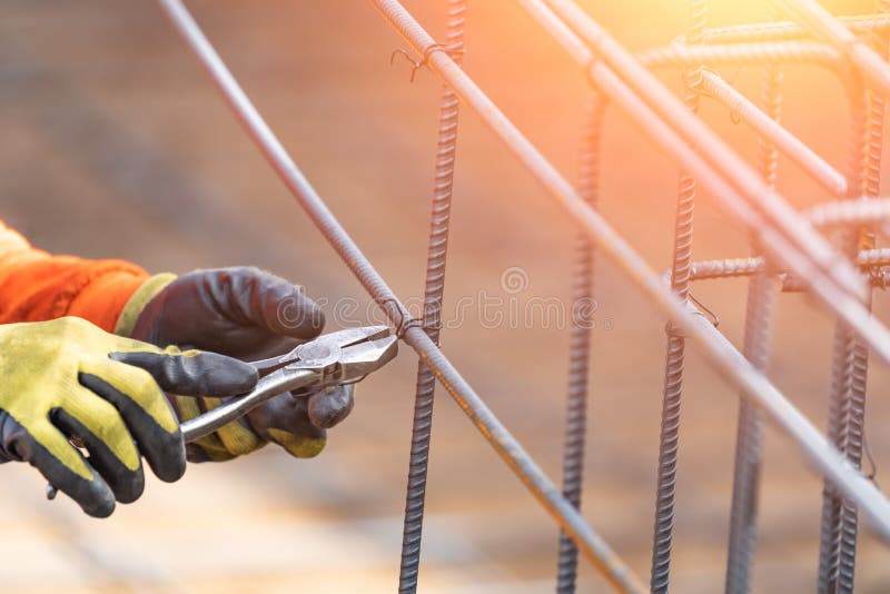 Worker Securing a Safety Rope Stock Image - Image of chainsaw, cutter ...