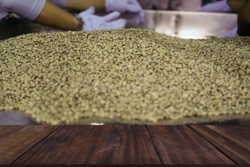 Worker Sorting Selecting Green Unroasted Coffee Bean in Food Factory ...