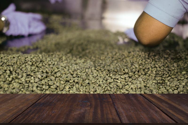 Worker Sorting Selecting Green Unroasted Coffee Bean in Food Factory ...