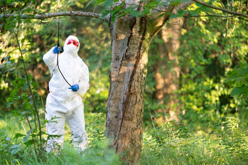 A Worker Sprays Pesticides on Trees Outdoors, Close-up. Pest Control ...