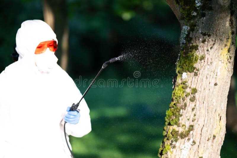 A Worker Sprays Pesticides on Trees Outdoors, Close-up. Pest Control ...