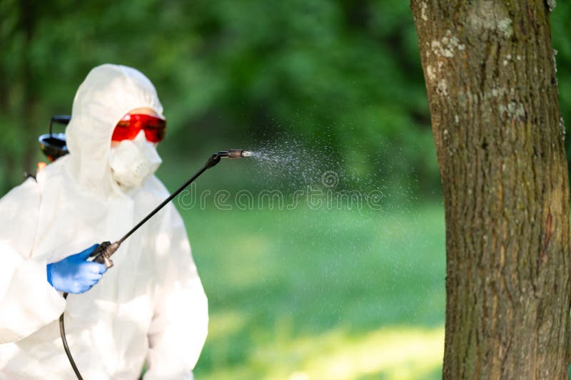 A Worker Sprays Pesticides on Trees Outdoors, Close-up. Pest Control ...