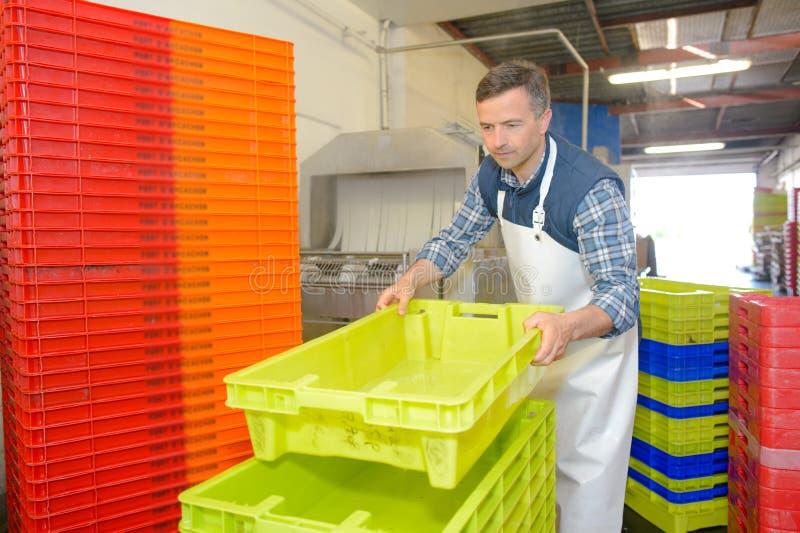 Worker stacking crates stock photo. Image of hygiene - 263613020