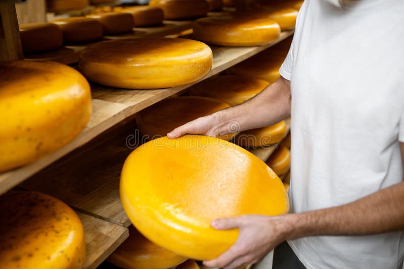 Cheese Wheel Face Stock Photos - Free & Royalty-Free Stock Photos from ...