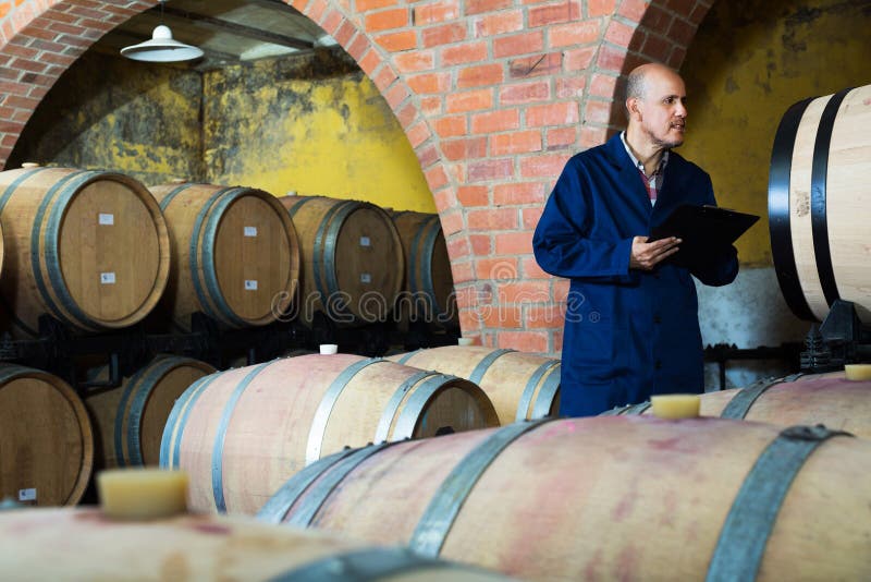 Worker Taking Notes in Wine Cellar Stock Image - Image of control ...