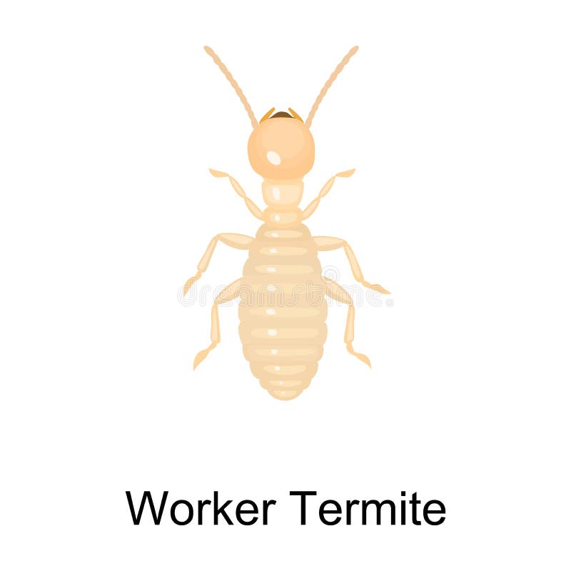 Worker Termite Illustration Stock Illustration - Illustration of legs ...