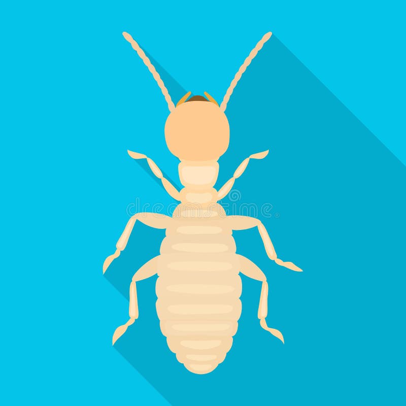 Worker Termite Vector Icon.Flat Vector Icon Isolated on White ...