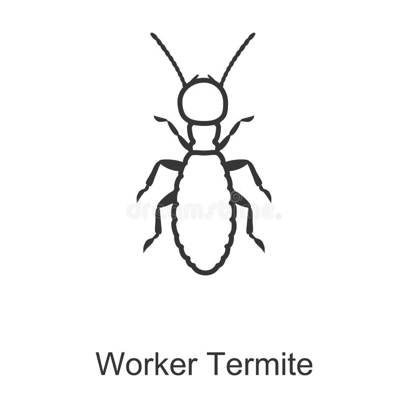Larva Grub of Cockchafer or May Bug Stock Vector - Illustration of ...