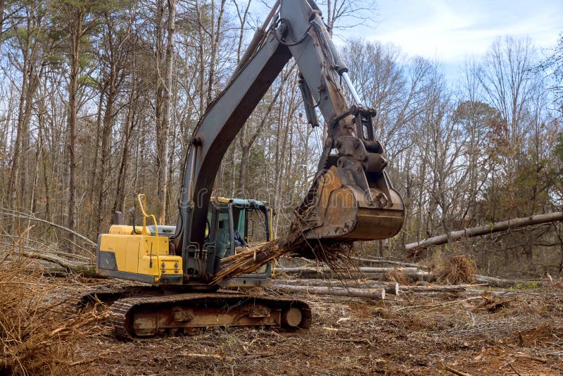 Worker To Uproot Trees in a Forest, Using an Excavator To Prepare ...