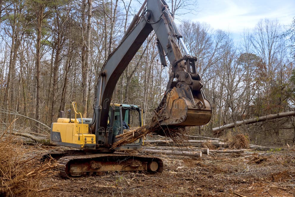 Worker To Uproot Trees in a Forest, Using an Excavator To Prepare ...
