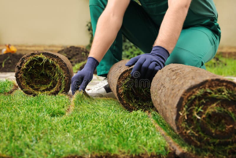Grass Sods Pieces Stacked stock image. Image of vegetation - 33025525