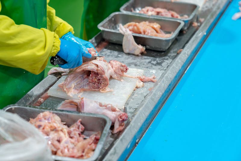 Worker Use Knife Slice Chicken Wing Stock Image - Image of butcher ...