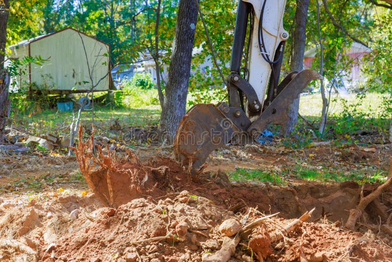 Worker Uses an Excavator To Uproot Trees As Part of Preparation Ground ...