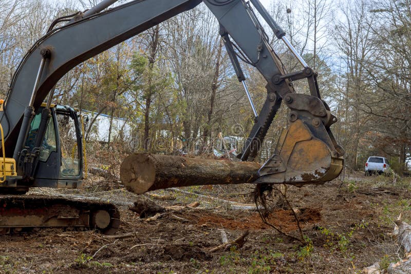 A Worker is Using an Excavator To Remove Trees in Forest a Make Way for ...