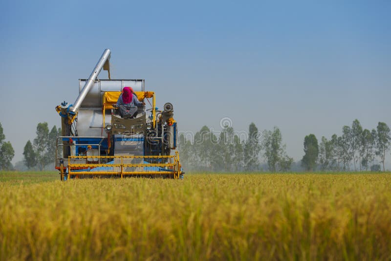 Paddy Harvesting Machine stock photo. Image of asian, equipment - 6517946