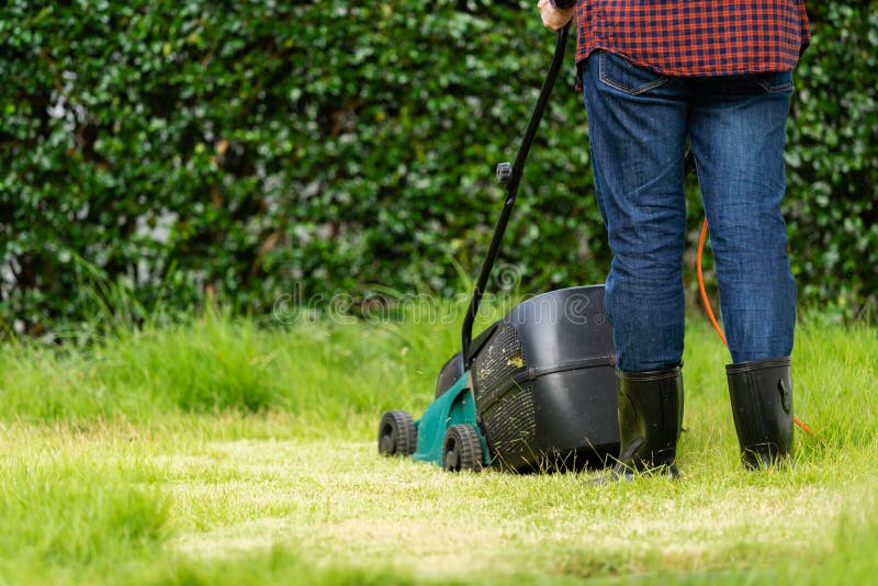 Worker Using a Lawn Mower Cutting Grass Stock Image - Image of cutter ...