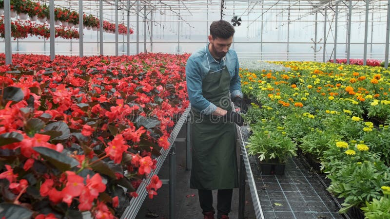 Worker Walking in a Flowerpot. Agricultural Engineer Working in ...