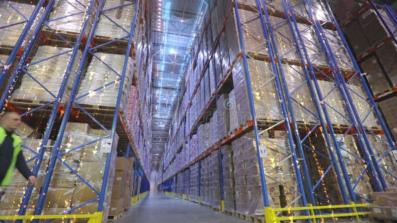 The Worker Walks through the Warehouse. a Worker is Carrying a Rokla ...