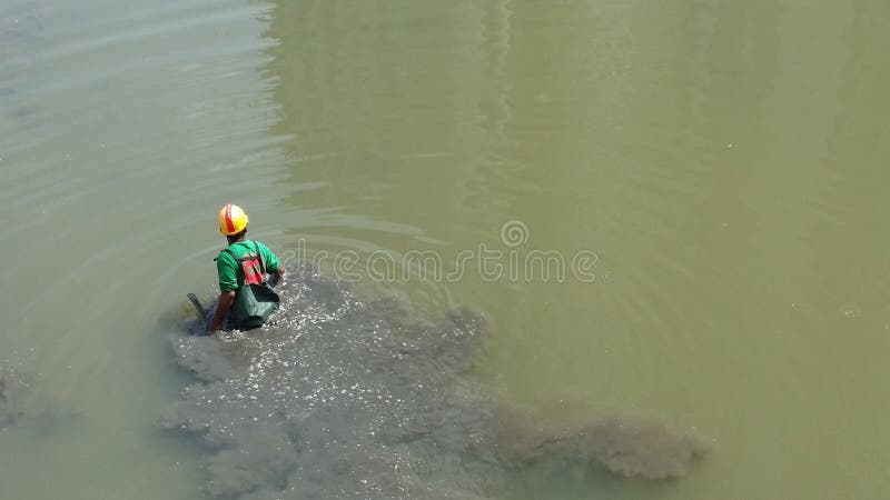 Cap Waddle Stock Photos - Free & Royalty-Free Stock Photos from Dreamstime