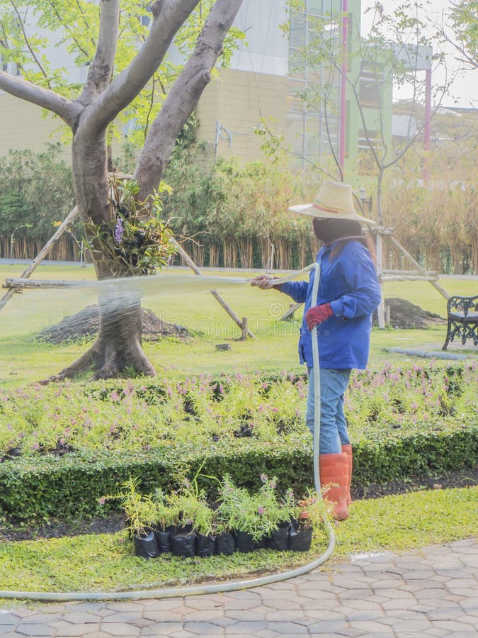 Worker Watering in the Park Stock Image - Image of park, nature: 38941477