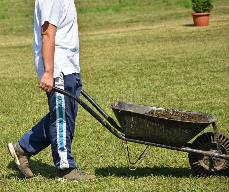 Worker with wheelbarrow stock photo. Image of construction - 5464404