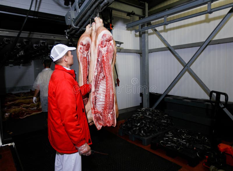 A Worker in White and Red Uniform at the Meat Manufacturing with Pork ...