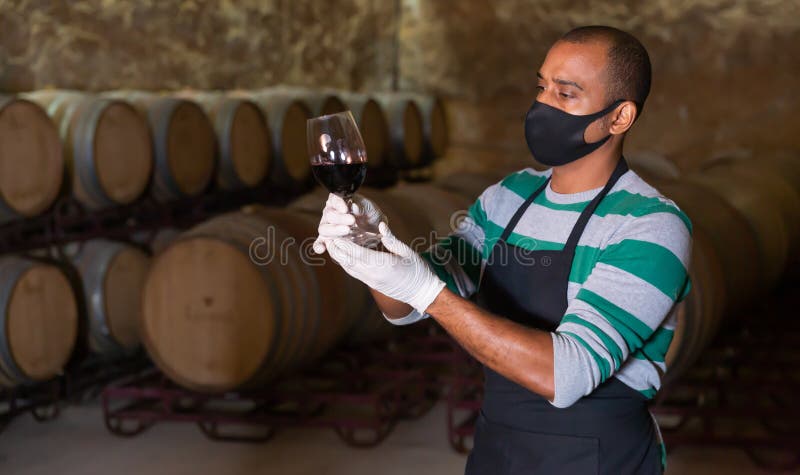 Worker of Winery Testing Wine in Glass Stock Image - Image of expert ...