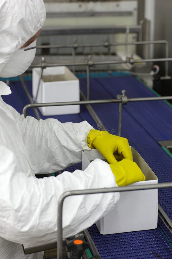Worker Working on Packing Line in Factory Stock Photo - Image of ...