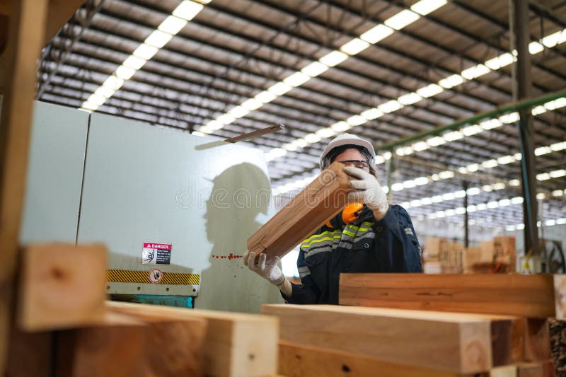 Worker are Working at Lumber Yard in Large Warehouse. Stock Photo ...