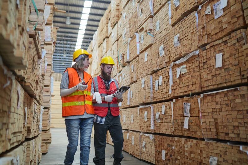 Worker are Working at Lumber Yard in Large Warehouse. Stock Image ...
