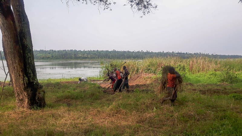 Workers in Africa, Rwanda. editorial photo. Image of laborer - 134418501