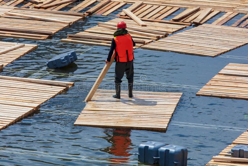 Workers Build a Dam of Wood on the River Stock Image - Image of ...