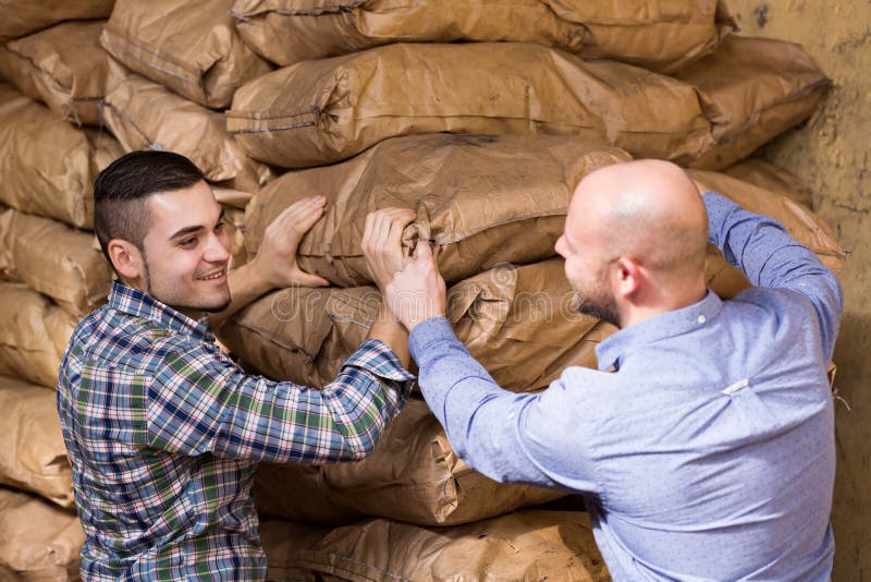 Workers Carrying Bags of Cement Stock Image - Image of handle ...