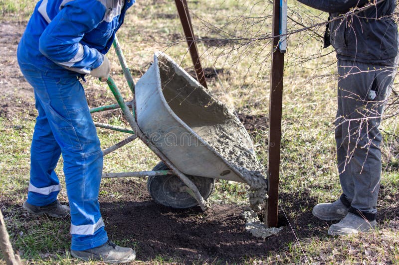 Workers are Carrying a Wheelbarrow with Sand and Cement Stock Image ...