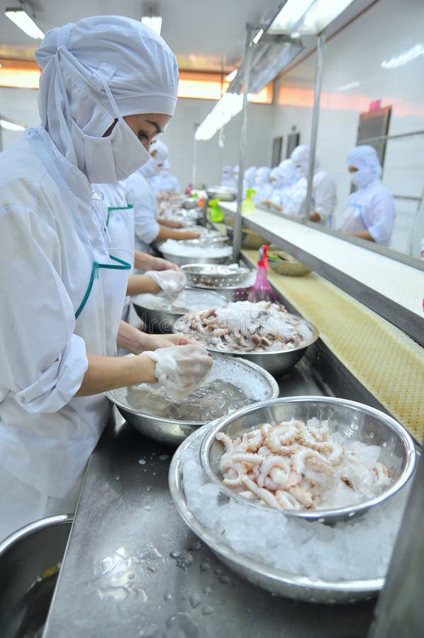 Workers are Classifying Raw Fresh Octopus To Transfer To the Next Step ...