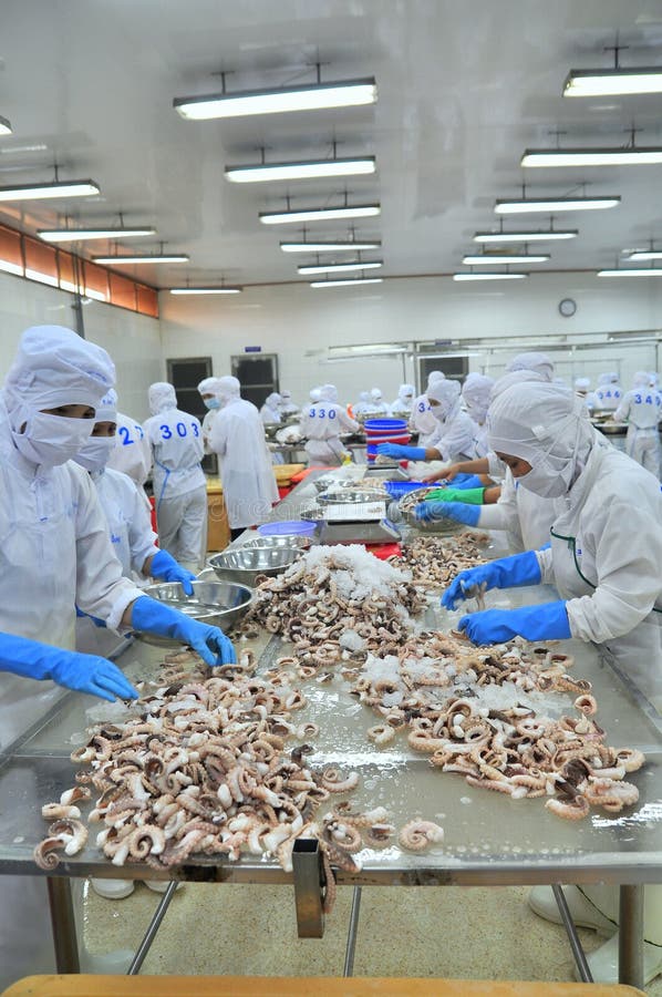 Classifying Sorting Stock Photos - Free & Royalty-Free Stock Photos ...