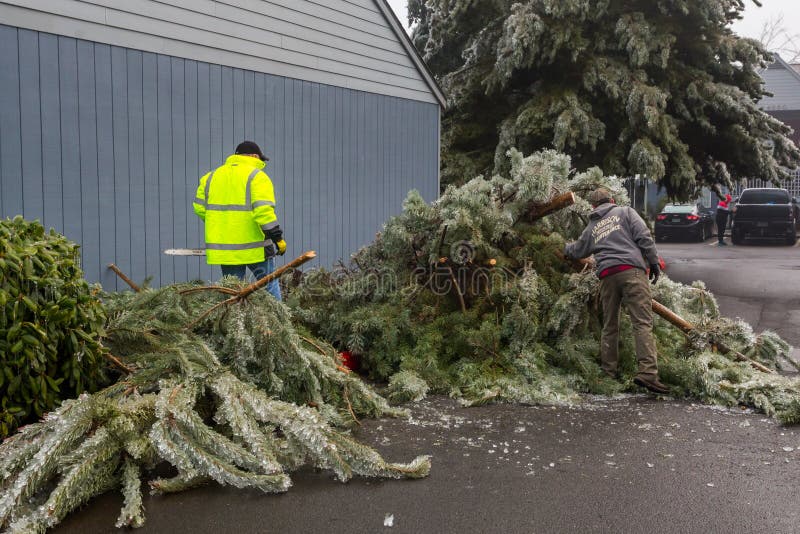 Workers Clear a Driveway of Fallen Icy Trees after an Ice Storm ...