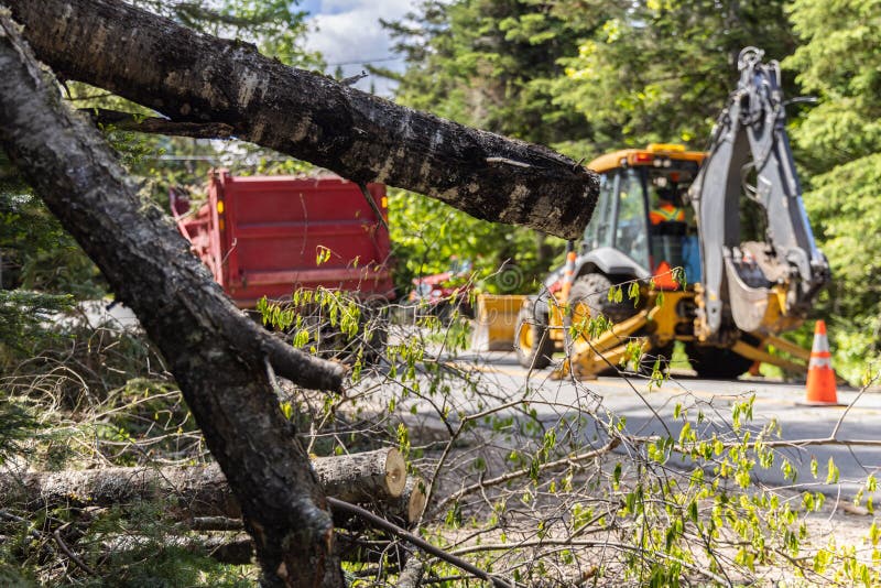 Workers Clear Storm Debris in Highway Stock Photo - Image of dumper ...