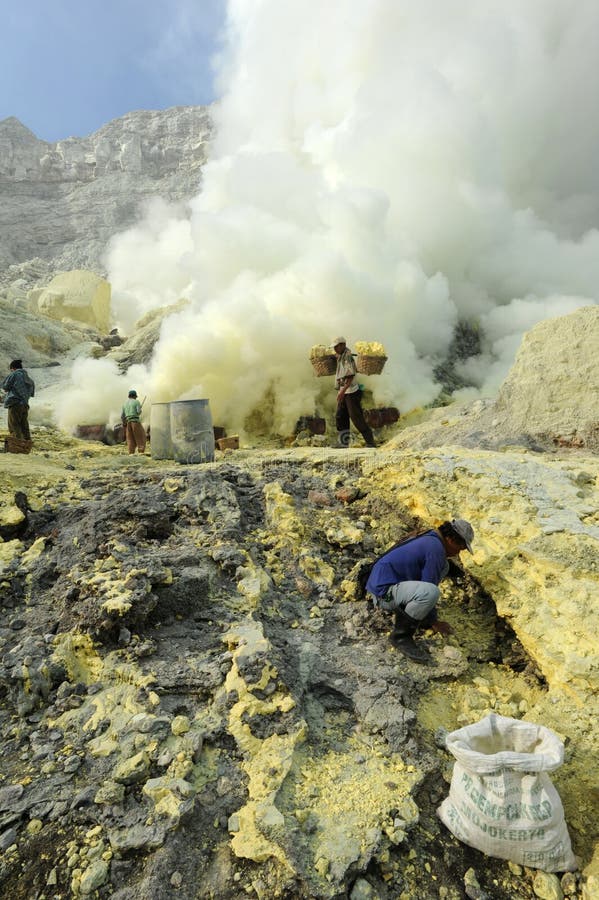 Workers Collecting Sulfur from Volcano Ijen Editorial Stock Image ...