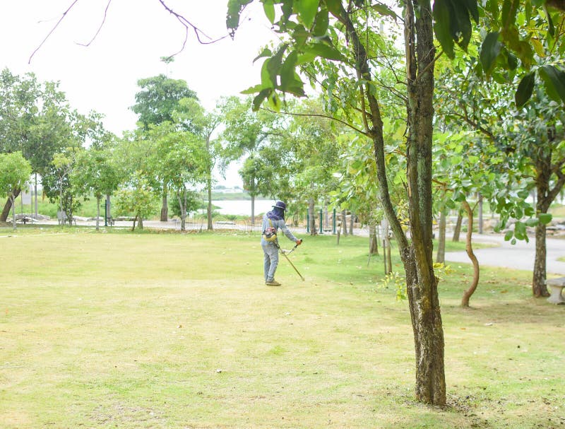 Workers are Cutting the Field in the Garden Stock Photo - Image of ...