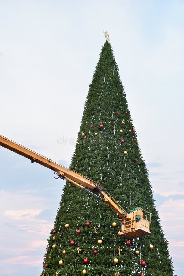 Workers Decorate a Large Christmas Tree in the Town Square Stock Photo ...