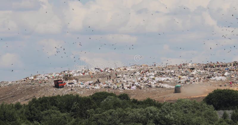 Huge Waste Garbage Hill on Landfill with Birds Flying Over it Recycling ...